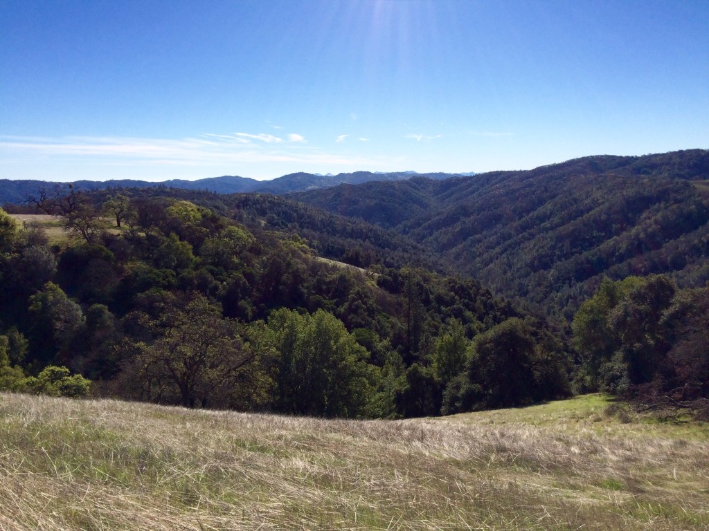 Mississippi Lake – Henry Coe State Park (24 mile trek) – Backpackers Review