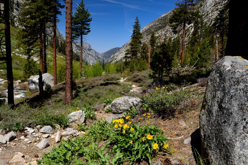 Rae Lakes Loop – Kings Canyon National Park Backpacking (41 mile loop ...