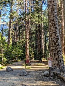 Yosemite Highlights Loop – Yosemite National Park (40 mile loop ...