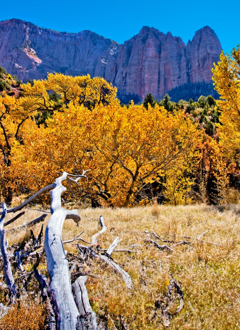 Zion Traverse – Zion National Park (51 mile point-to-point ...