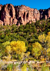 Zion Traverse – Zion National Park (51 mile point-to-point ...