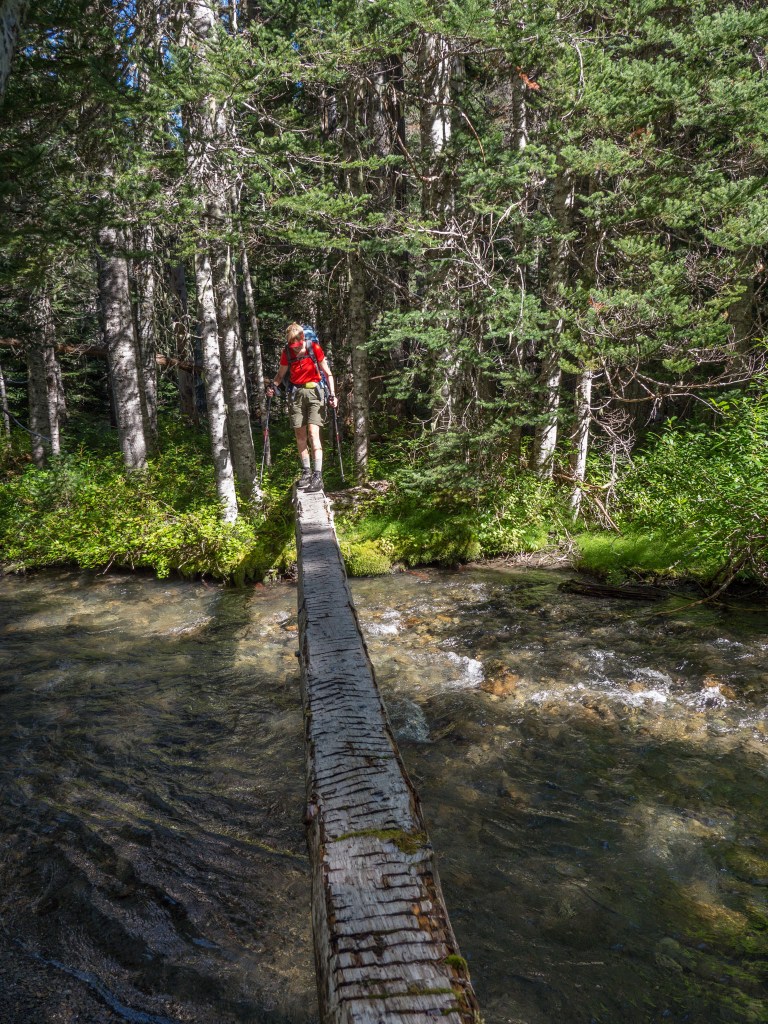 Grand Loop – Olympic National Park (43 mile loop) – Backpackers Review