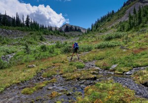 Grand Loop – Olympic National Park (43 mile loop) – Backpackers Review